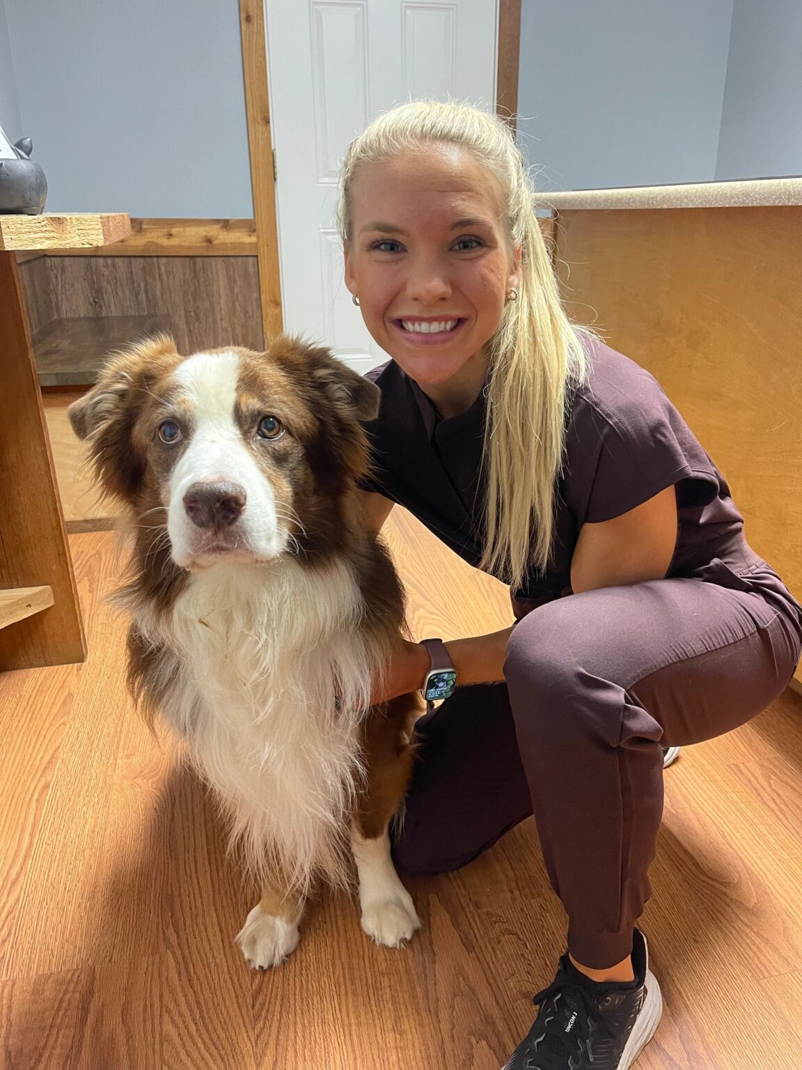Animal Hospital & Veterinarian for Dogs, Cats & Cattle in Jackson, MO ...